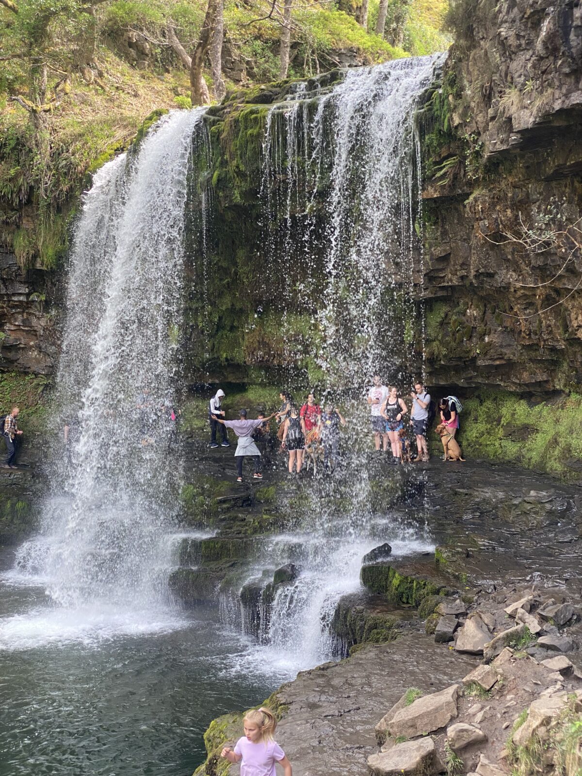 Activities | Waterfall Country Pods