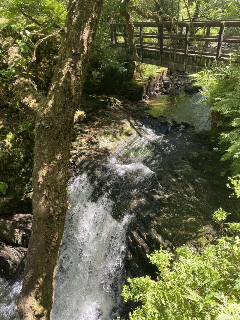 Activities | Waterfall Country Pods